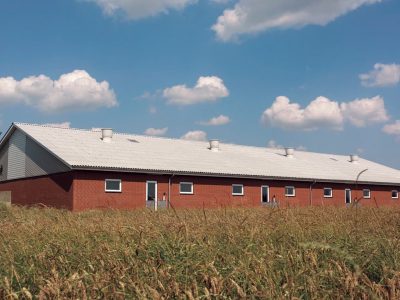 Nyt eternittag - Priser & Info om Udskiftning (2025)